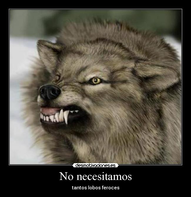 Imágenes y Carteles de FEROCES | Desmotivaciones